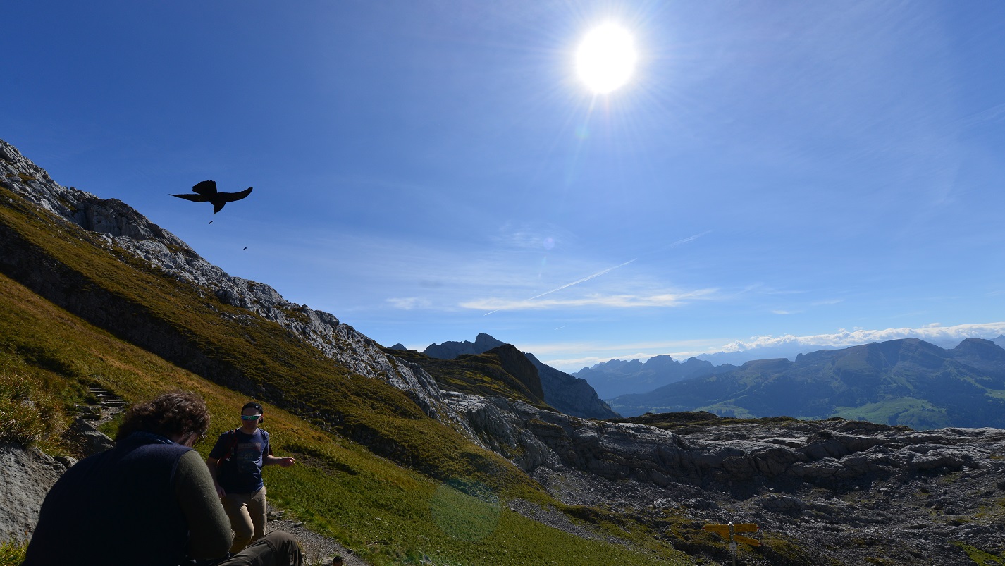 Alpstein - Churfirsten - Berge - Seen - Mehr